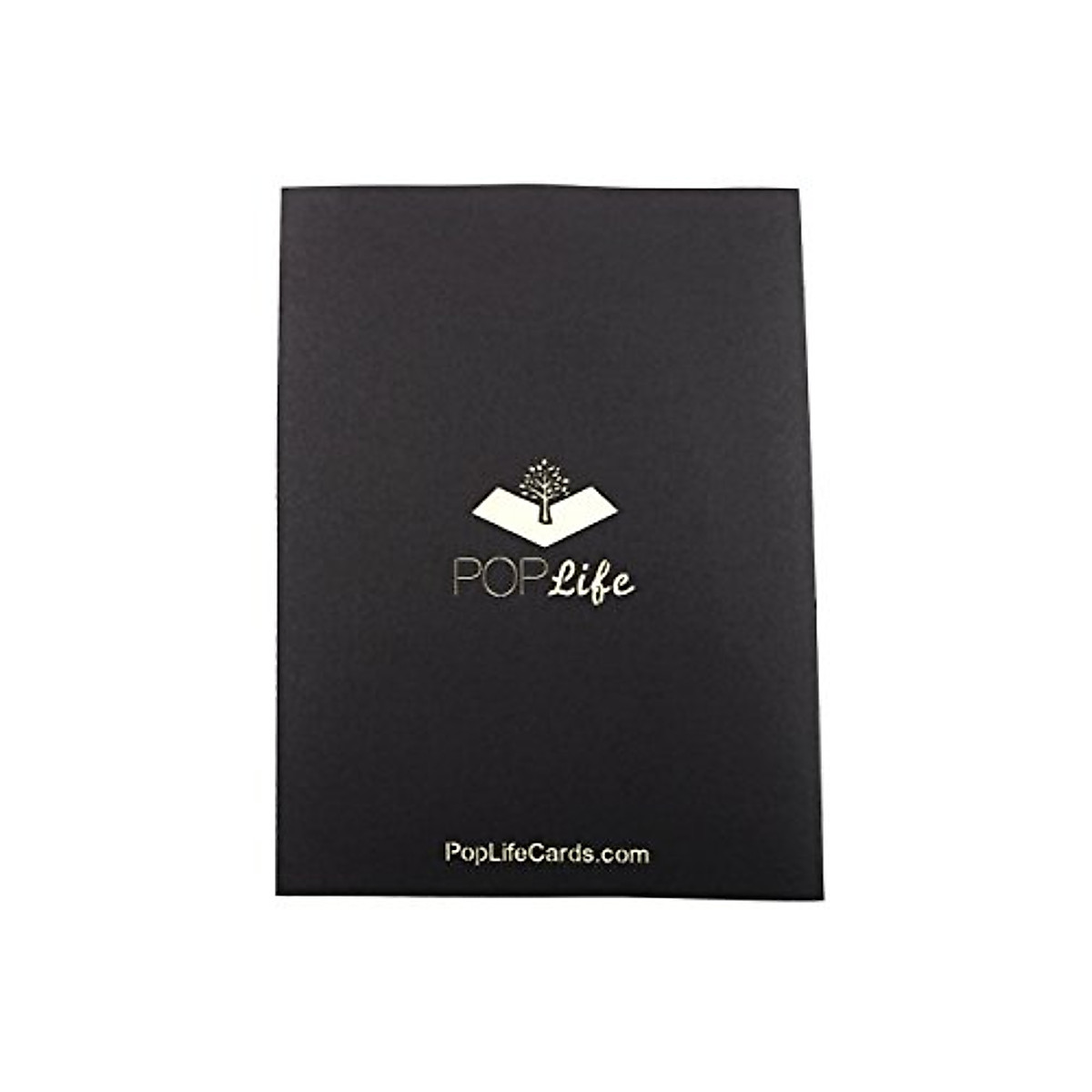 PopLife Black Pirate Ship Pop Up Card for All Occasions - Happy Birthday, Graduation, Congratulations, Retirement, Anniversary, Fathers Day - Treasure Hunters, Ocean Lovers - Folds Flat for Mailing