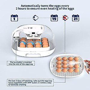 Egg Incubator, 16 Incubators for Hatching Eggs with Automatic Egg Turning, Egg Candler and Automatic Water Adding for Hatching Chickens, Ducks, Goose, Quails & 4 Wooden Eggs