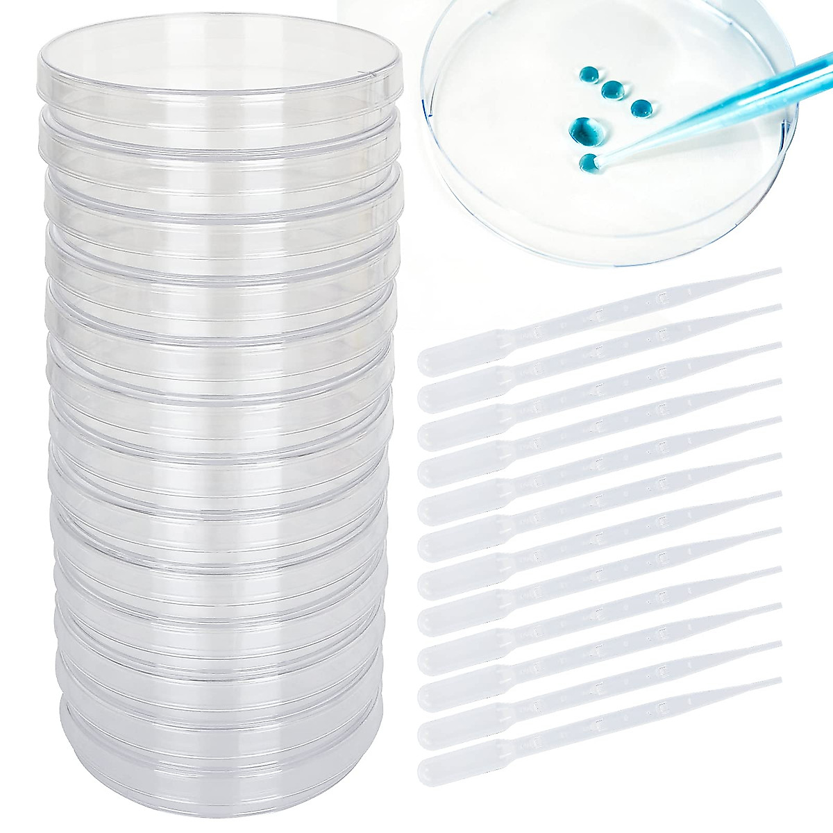 40Pack Plastic Petri Dishes Set, 4 Inch Culture Dish Plates with Lids, Clear Culture Plates with 100Pcs 3ml Transfer Pipe for School Studies, Science Projects, Art Projects