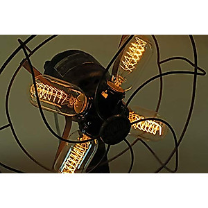 Rolay Vintage Edison Bulbs, 25W Clear Glass Antique Vintage Old Fashioned E26 Incandescent Light Bulbs, 1 Pack