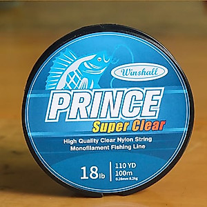 Winshall 100m Fishing Line Nylon String Cord Clear Fluorocarbon Strong Monofilament Fishing Wire 1PCS