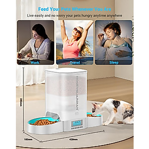 HoneyGuaridan Automatic Cat Feeder for Two Cats,3.5L Cat Food Dispenser with Slow Feeder Bowl,Timed Cat Feeder Programmable 1-6 Meals Control, Dual Power Supply,10s Meal Call White