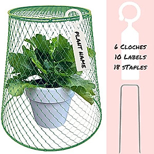 RE GOODS Chicken Wire Plant Cover – 6 Garden Cloche Baskets, Cage Protectors from Animals and Rabbits, Includes 18 Garden Stakes and 10 Waterproof Labels (Green)