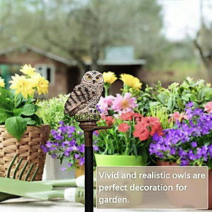 YESHAN Solar Figurine Light, 2 Pack Owl Solar Lights with Stake,Cute Owl Led Lights for Lawn Yard Patio Pathway Decor (Brown)…