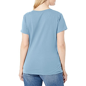 Hanes womens Nano Premium Cotton V-neck Tee fashion t shirts, Light Blue, Large US