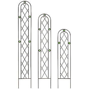 Arcadia Garden Products TR02 Arched Garden Trellis, 5' x 10", Black