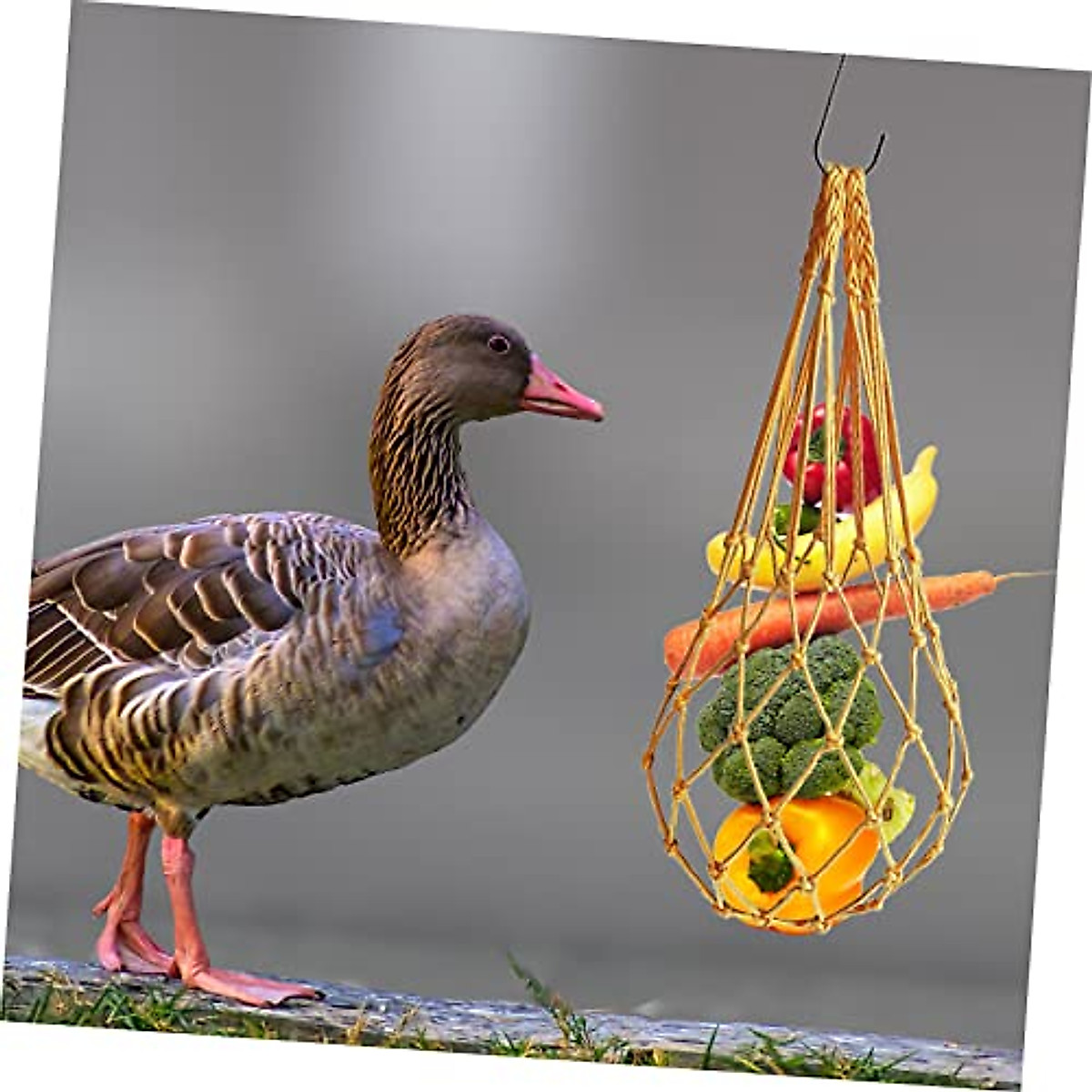 YARNOW Large Vegetable Duck Cabbage Supplies Holder Net Yellow Treating Chicken Bag Poultry Skewer S Parrot Hanging Foraging Cocks Birds Pet for Tool Feed Feeder Food Feeding Cotton