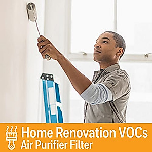 Honeywell Air Purifier Filter for Home Renovation VOCs – Filter S for HPA3000 PowerPlus and HPA5000 Insight Series, HRFSC1
