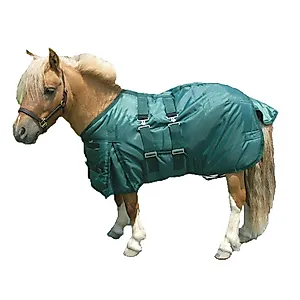 Intrepid International Miniature Horse Turnout Blanket, 43-Inch, Hunter Green