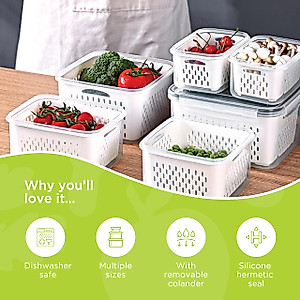 AVUX Fruit Storage Containers for Fridge (5 Pcs) Air Tight Food Storage Bins with Lid | Leak-Proof Rectangular Containers to Keep Fruits, Berries, Veggies, and Salad Fresh for Longer