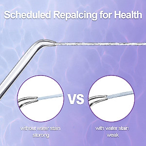 2PCS Replacement Tips Oral Hygiene Accessories Water Jet Standard Sprinkler for Waterpik Dental Water Oral Irrigator Wp-100 Wp-450 Wp-250 Wp-300 Wp-660 Wp-900 by WyFun