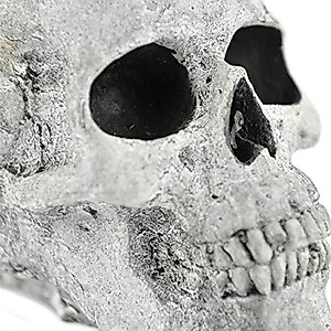 Myard Fireproof Imitated Human Fire Pit Skull Gas Log for NG, LP Wood Fireplace, Firepit, Campfire, Halloween Decor, BBQ (Qty 1, White - Mini, One Piece)