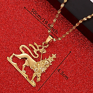 BR Gold Jewelry Ethiopian Lion Pendant Necklaces Chain Women Africa Ethiopia Lion Necklace