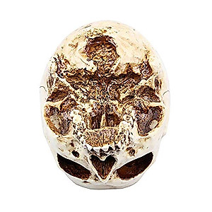 RMM Halloween Decoration Retro Human Skull Head Flower Pot Planter Bed Box Container Replica Home Bar Décor,Clear