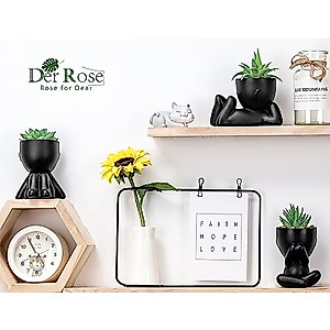 Der Rose 3pcs Fake Succulents Plants Artificial for Bathroom Bedroom Home Room Decor Aesthetic Indoor