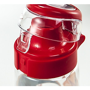 25-oz Pokemon Water Bottle with Flip-Top Cap & Carrying Loop- by Zak! , BPA-Free and Break Resistant (Charizard)