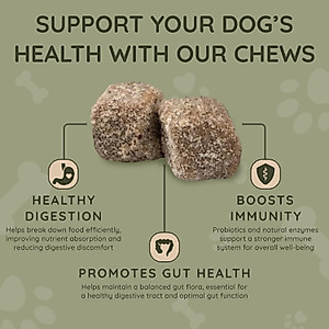 Asher House Wellness Probiotics Digestive Chew for Dogs - Dog Probiotic, Digestive Enzymes for Gut Health & Digestion - Pet Chews for Diarrhea, Upset Stomach, Allergies, Itchy Skin Relief, 120 Chews