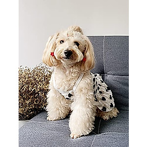 QWINEE Heart Print Dog Cat Dress Dog Princess Dresses Party Birthday Puppy Tutu Skirt Chihuahua Teddy Pomeranian Dress Pet Clothes for Small Medium Large Dogs Cats Kittens Black and White M