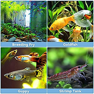 TOHIDAQU Aquarium Sponge Filter - 4W 80GPH Fish Tank Filters with Double Sponge: Electric Power Ultra Quiet Aquarium Filter for 15- to 55 Gallon