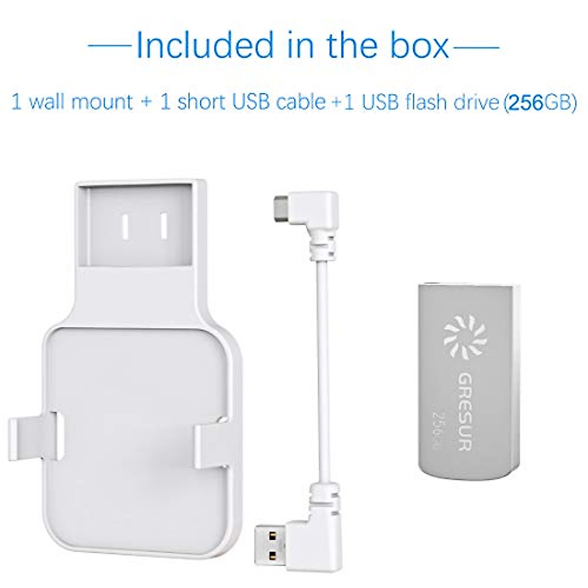 256GB Blink USB Flash Drive for Local Video Storage with The Blink Sync Module 2 Mount (Blink Add-On Sync Module 2 is NOT Included)…