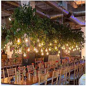 LED Vintage Edison Bulb G45-4W LED Light Filament Bulb, Globe Shape E26 Base, Clear Warm White 2700K, LED Edison Bulb 40W Equivalent, 110-120VAC, Dimmable (4 Watts)