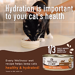 Wellness CORE Grain-Free Wet Cat Food, Natural Canned Food for Cats, Made with Real Meat (Chicken, Turkey & Chicken Liver Pate) , 3 Oz Cans (Pack of 12)