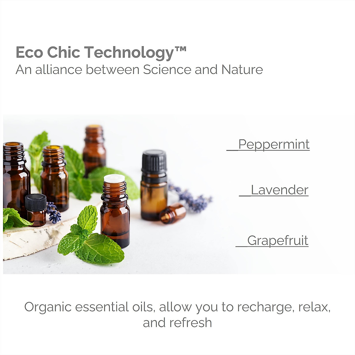 GIOVANNI Mixed Scents Cleansing Towelettes - Grapefruit, Lavender, Peppermint, Enriched with Aloe Vera & Vitamin E, Perfect for Purse, Gym, Travel, On-The-Go - 20 Individually Wrapped