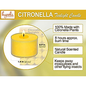 Tealight Citronella Candles Outdoor - 8 Hour Burn Time - Indoor and Outdoor Mosquito, Insect and Bug Repellent Citronella Candle - Natural Fresh Scent – Decorative in Clear Cup - 80 Pack