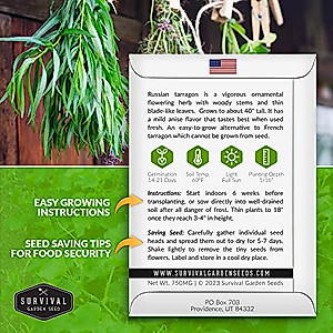 Survival Garden Seeds - Russian Tarragon Seed for Planting - Packet with Instructions to Plant and Grow Big Flowering Herbs in Your Home Vegetable Garden - Non-GMO Heirloom Variety