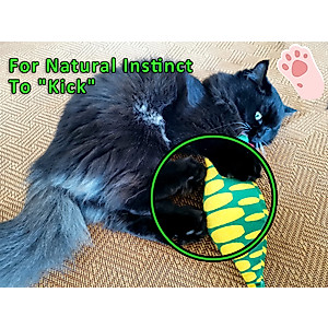 RUNLY Large Catnip Cat Toys 3PCS, Flipper Flopper Cat Toy Perfectly Caters Cat's Natural Instinct to “Rabbit Kick”, Cat Toys with Catnip for Indoor Cats, Cute Cat Toys with Well-fed Snake Shape