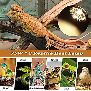Sinroy Reptile Heat Lamp,Turtle Heating Light with Clip, 2 Pack UVA UVB Bulbs Temperature Adjustable Basking Lamp for Pet Amphibian Reptile Turtle Lizard Snake Chicken(75W,Black)