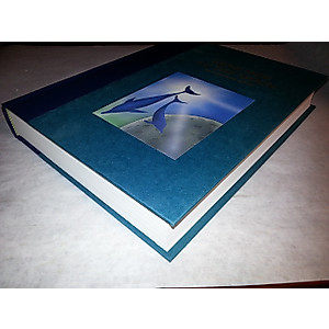 Dark Side of the Moon