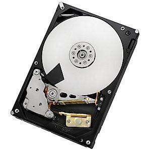 HGST Ultrastar 7K4000 HUS724040ALE641 4TB 64MB Cache 7200RPM SATA III 6.0Gb/s 3.5in Enterprise Internal Hard Drive(Renewed)