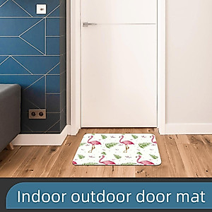 VBFOFBV Bathroom Rugs Absorbent Bath Mats for Bathroom Kitchen Bath Rugs Indoor Outdoor Area Rugs, Flamingo