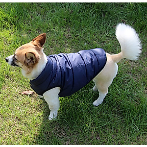 JoyDaog 2 Layers Fleece Lined Warm Dog Jacket for Winter Cold Weather,Soft Windproof Medium Dog Coat,Blue L