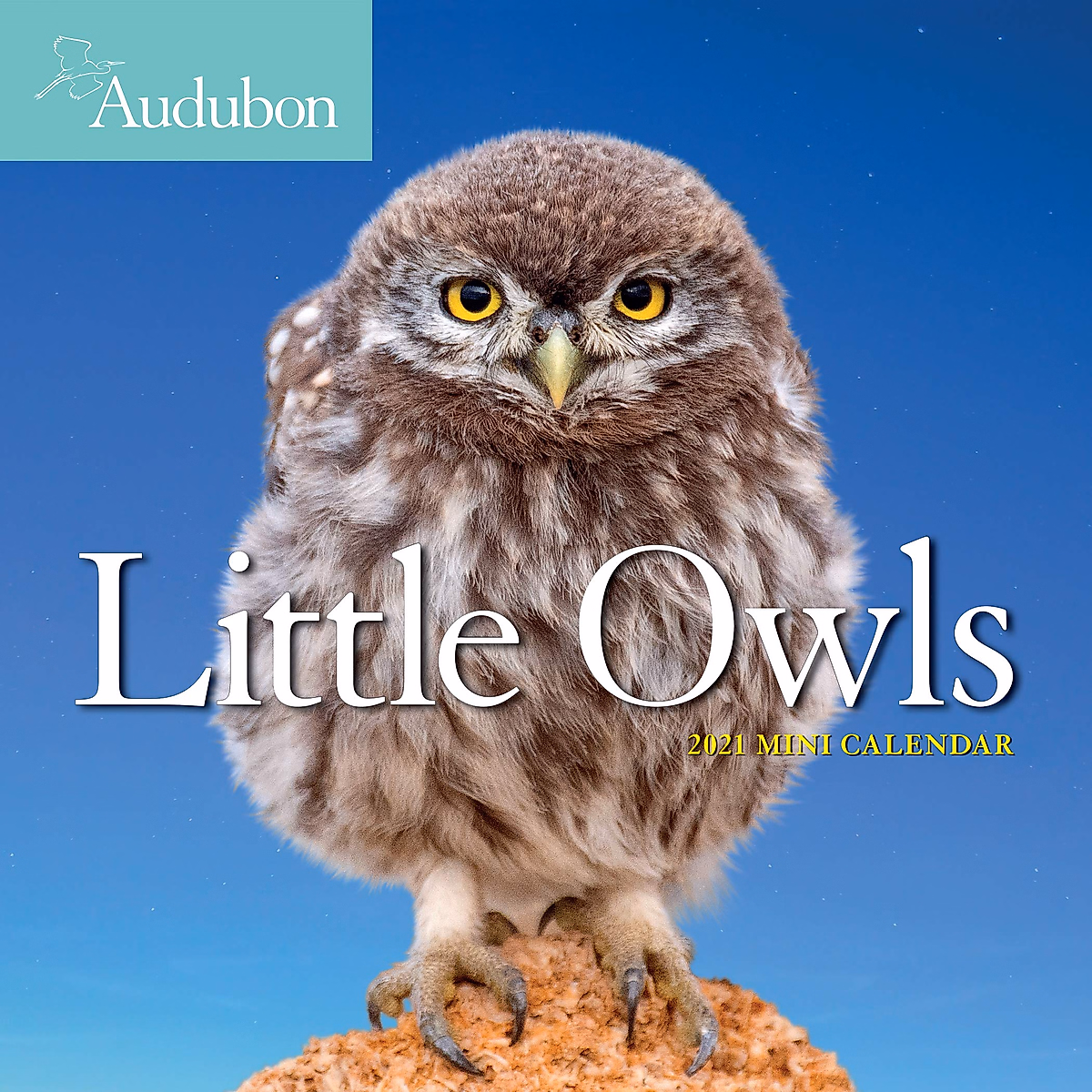 Audubon Little Owls Mini Wall Calendar 2021