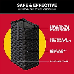 Catchmaster Mouse & Insect Glue Traps 16-Pk, Adhesive Rodent & Bug Catcher, Pre-Scented Mouse Traps Indoor for Home, Sticky Glue Traps for Mice and Insects, Pet Safe Pest Control for House & Garage