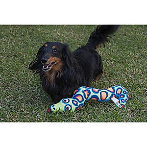 Petmate Fat Cat Incredible Strapping Yankers Dog Toy, Snake (Colors May Vary)