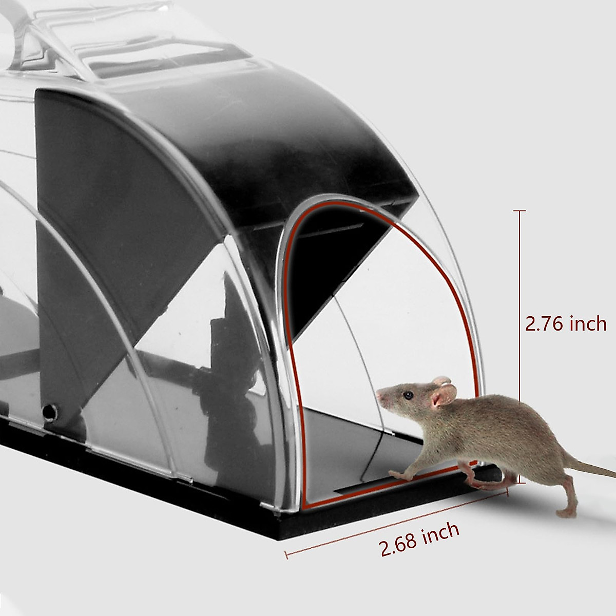 Humane Mouse Trap Indoor for Home 2PCS, Enlarged No Kill Rat Trap, Chipmunk Traps Reusable with Portable Tongs Live Rat Traps