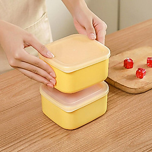 Cabilock Cheese Storage Containers with Lid, Reusable Plastic Slice Holder Airtight Cheese Box, Sealed Food Storage Container, Fruit Vegetable Organizer Container for Fridge