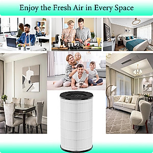 AP-T30 Replacement Filter,Compatible with Homedics Air Purifier AP-T30, AP-T30WT, AP-PET35,AP-PET35-WT, 3-in-1 H13 True HEPA Air Purifier Filter Replacement,Part# AP-T30FL AP-PET35FL,1-Pack