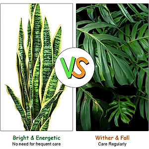 LUARANE 36" Artificial Snake Plant, Lifelike Plastic Fake Sansevieria w/Stable Cement Bottom, 20pcs Realistic Leaves, Vivid Decorative Potted Plant for Home Office Store Garden