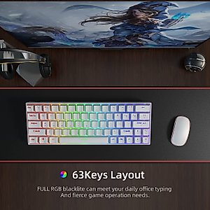 Ractous RTK63P 60% Mechanical Gaming Keyboard RGB Backlit PBT keycaps 63key Ultra-Compact Wired Keyboard Programmable for PC/Mac Gamers,Hot-Swappable Optical Red Switch (White)
