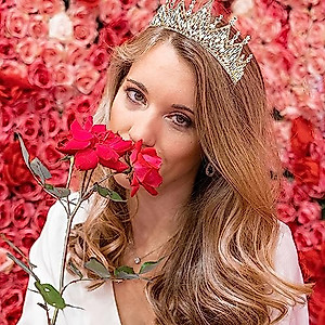 Ondder Gold Crowns and Tiaras for Women Birthday Princess Queen Crown for Girls Rhinestone Wedding Bridal Crown Crystal Quinceanera Crown Bride Tiara Headbands for Party Prom Pageant Costume Halloween