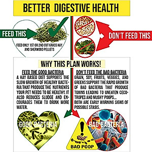 Adult Rabbit Food Timothy Hay Pellet 4.5 pounds. This Sherwood Pet Health hay-based formula is grain-free and soy-free for better digestion. Its also scientifically balanced for better urinary health.