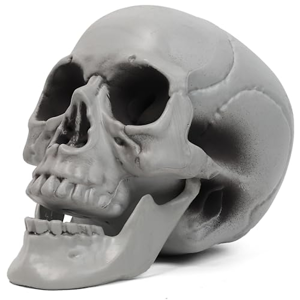 MOKRY PARTY Life Size Skeleton Skull for Halloween Decor Graveyard Outdoor White