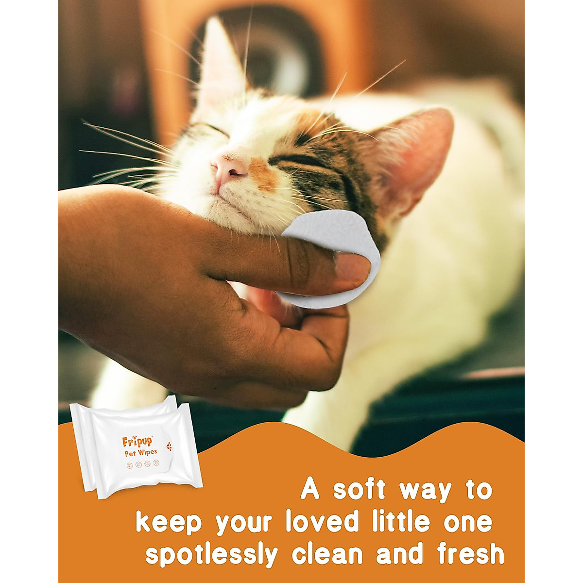 FriPuP Dog Eye Wipes, Travel Size Pet Wash Pads for Ear Face Wrinkle Cleaning, Gentle Tear Stain & Eye Discharge Remover for Cats Kitten Puppy, Essential Small Dog Items, Soft 100 Count (Pack of 2)