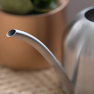 YISSN Small Watering Can for Indoor Office Stainless Steel Long Spout, 15oz/450ml