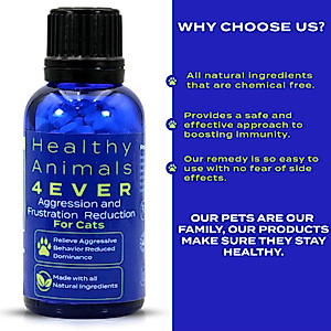 HealthyAnimals4Ever All-Natural Cat Calming Tablets for Stress and Aggressive Behavior - Help Reduce Cat Aggression/Frustration & Promote Relaxation - Homeopathic & Highly Effective - 300 Tablets