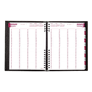 Brownline 2024 CoilPro Daily Professional Planner, Four-Person Appointment Book, 12 Months, January to December, Twin-Wire Binding, 11" x 8.5", Black (CB960C.BLK-24)